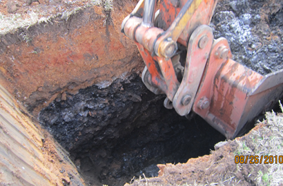 Neval Thomas Elementary School - DMY